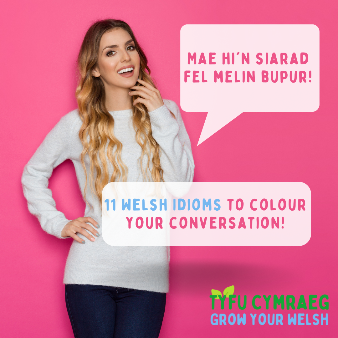 Learn these 11 idioms to add colour to your Welsh! - Tyfu Cymraeg