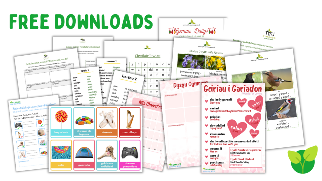 Learn Welsh Downloads - Tyfu Cymraeg