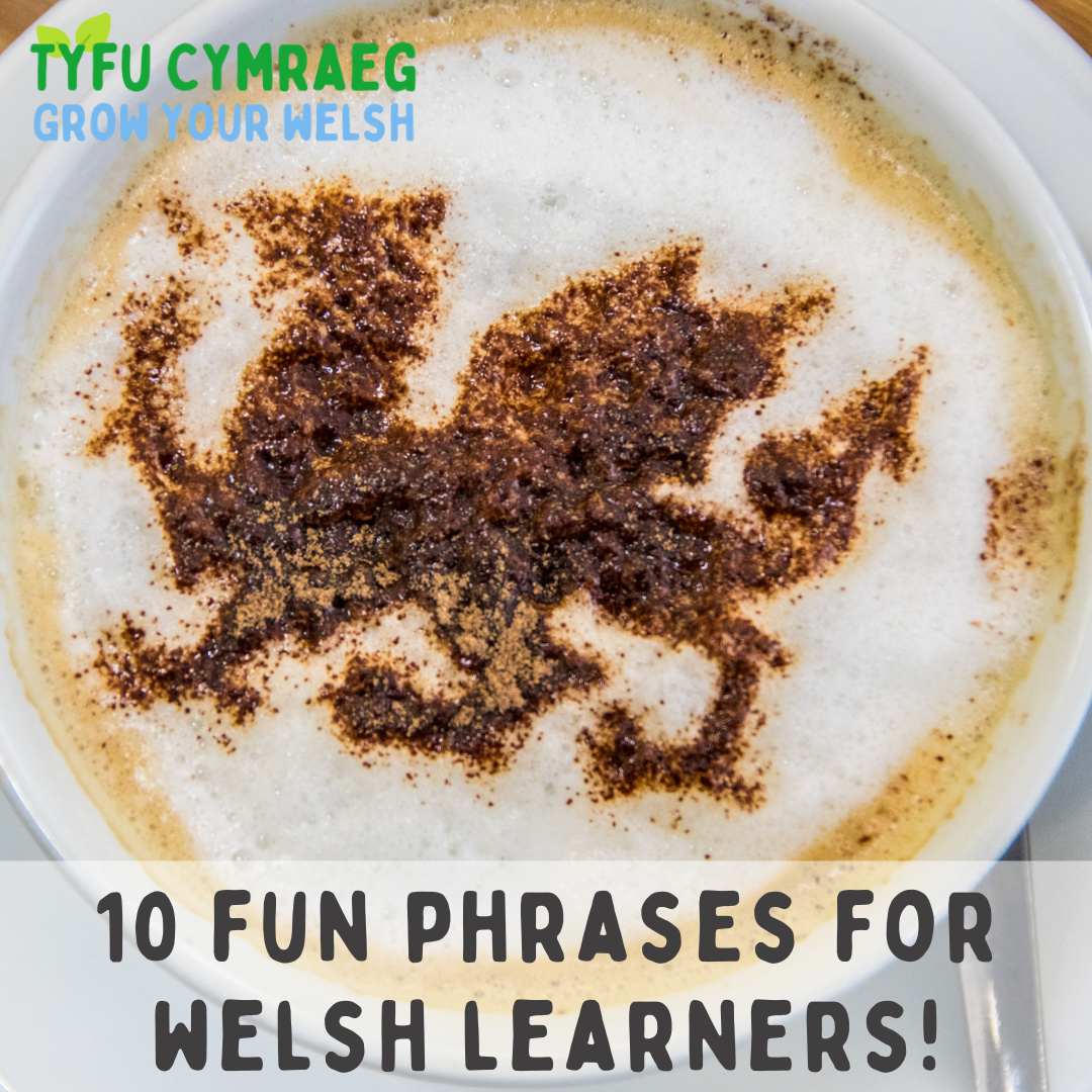 10 fun phrases for Welsh learners! - Tyfu Cymraeg